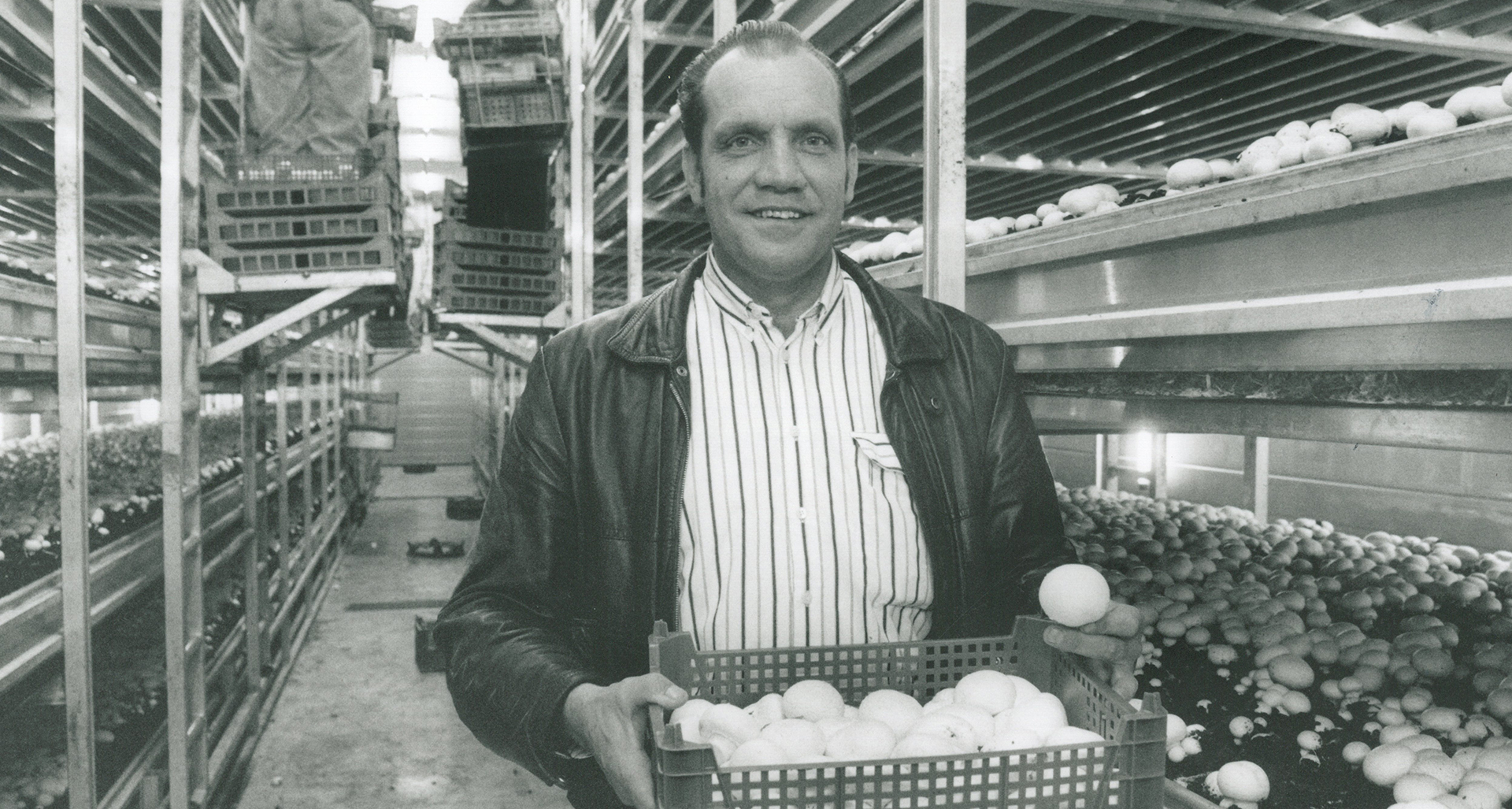 Home | Hooymans CompostHooymans Compost