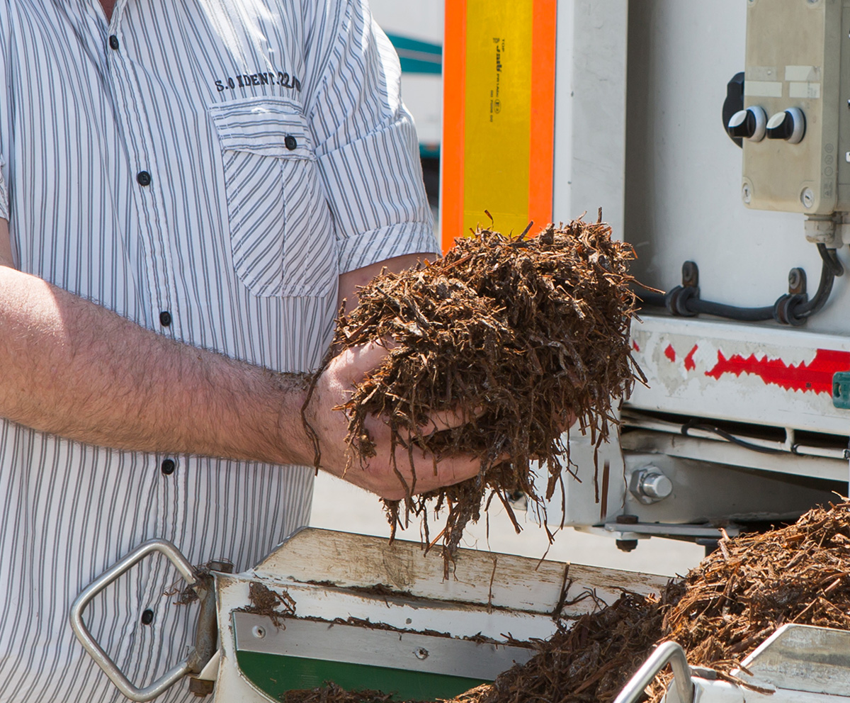 Substrate | Hooymans Compost